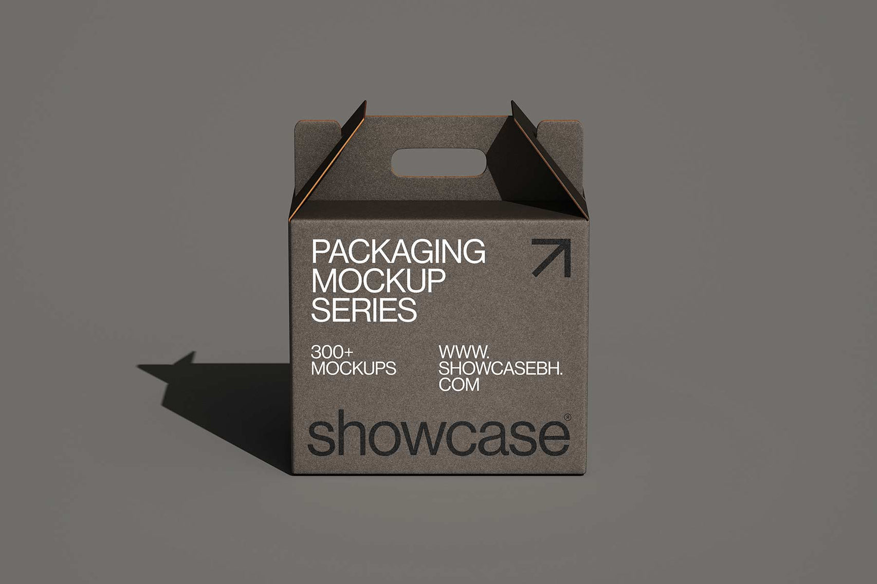 CG_Packaging Mockup Series – Showcase Mockup Studio